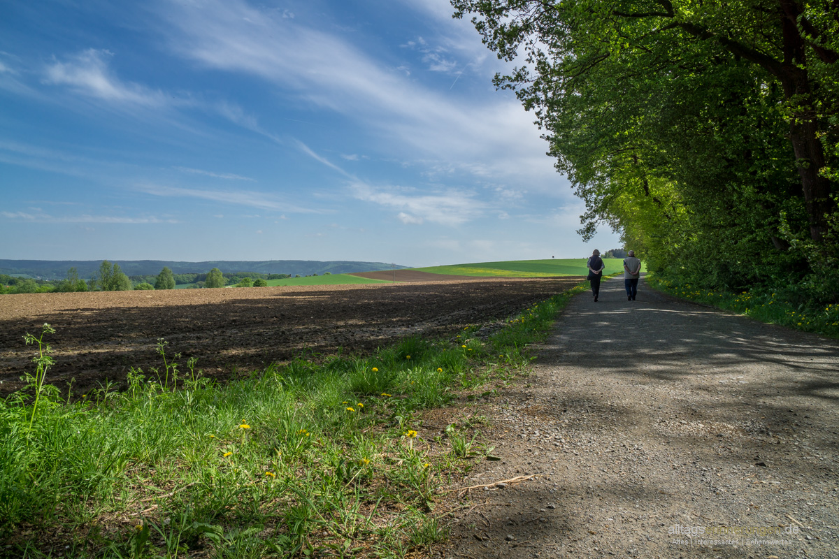 Windräder auf dem Geisberg. - alltagserinnerungen